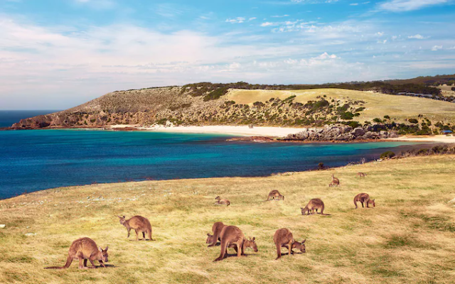 Pulau Terbaik di Australia Wajib Masuk Wistlist Liburan